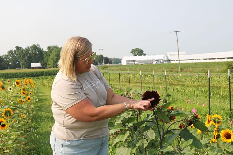 Thank A Farmer: Farm Grown Flowers blooms from summer to fall ...