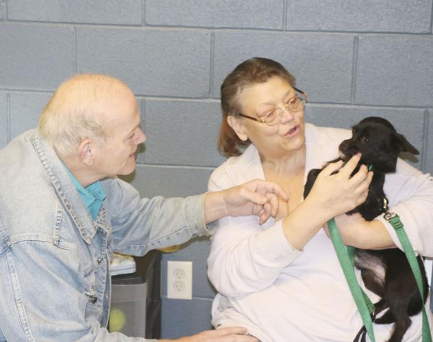 Humane Society of Elkhart County hosts first time event for Veterans ...