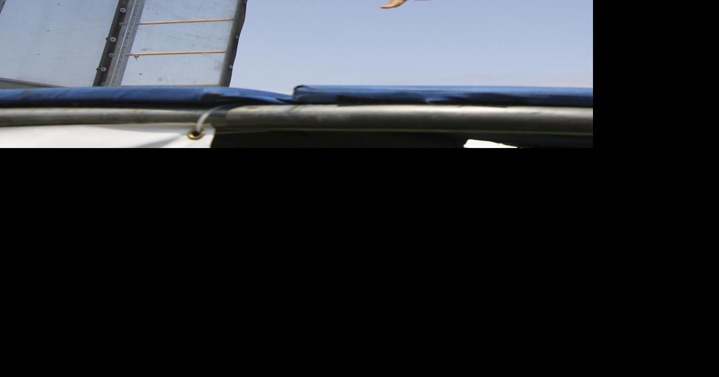 Flippenout gets next-level with extreme trampoline show | Elkhart ...