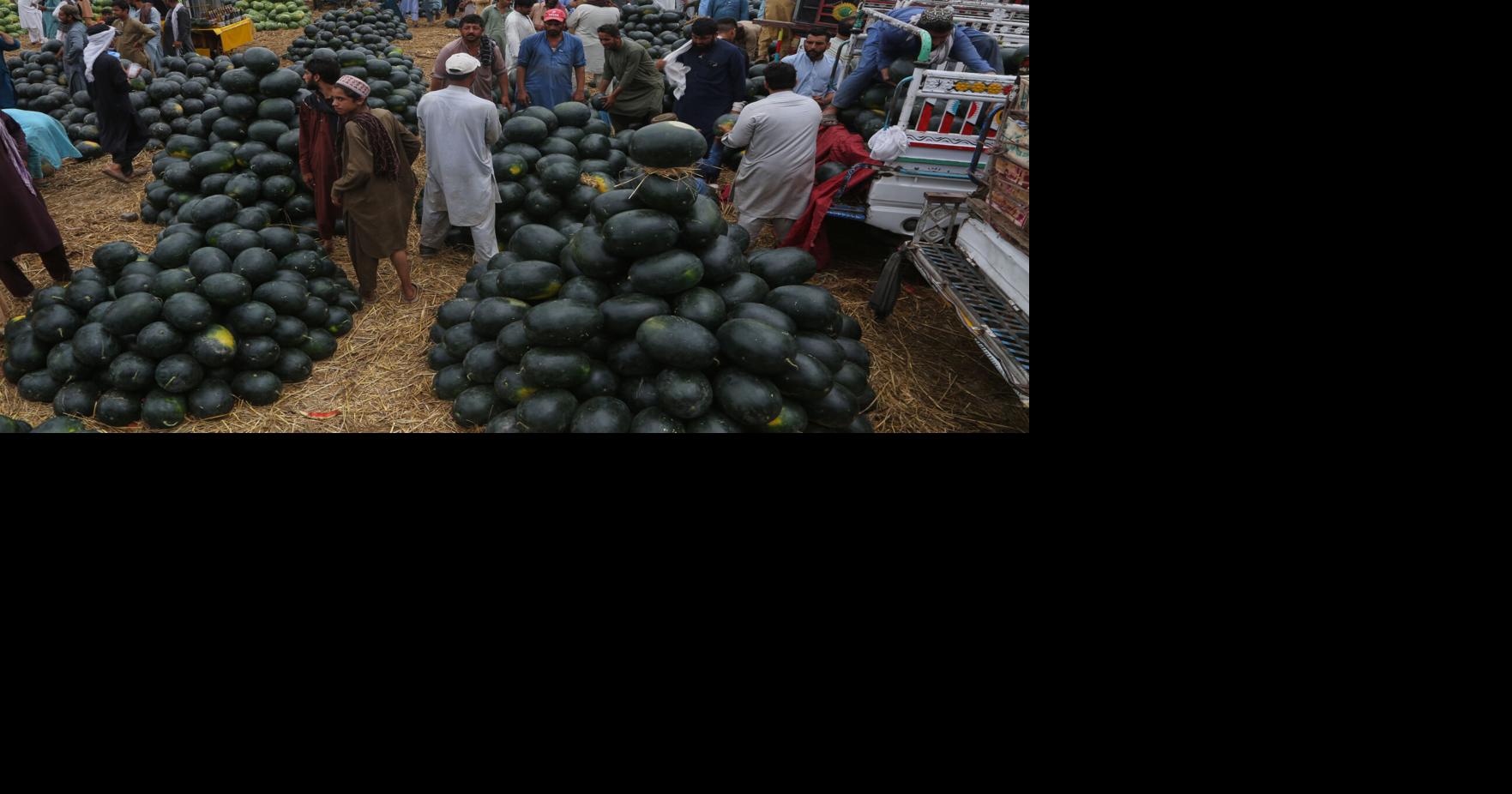 Pakistan Daily Life | National News | goshennews.com
