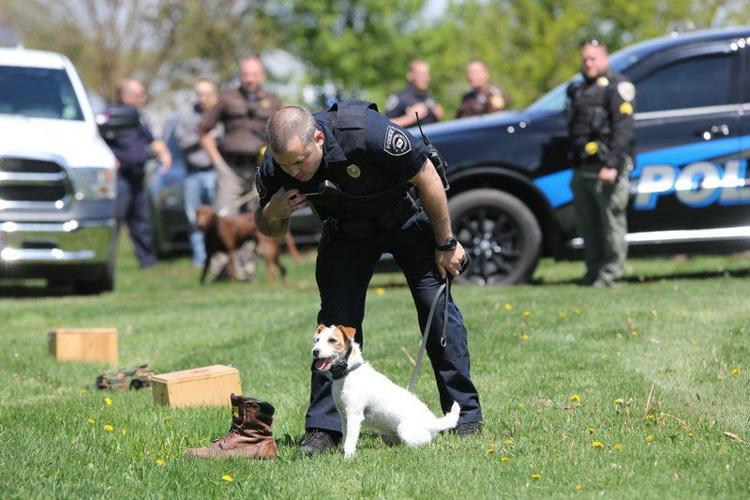 Shipshewana Mayfest kicks off May with family fun | News | goshennews.com
