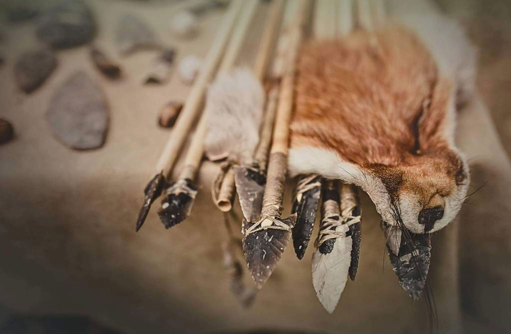 Learn about early hunter-gatherers at Museum program | News ...
