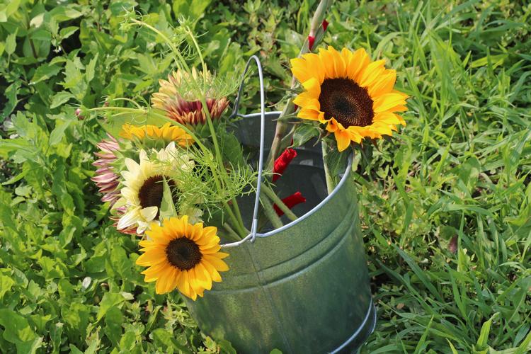 Thank A Farmer: Farm Grown Flowers blooms from summer to fall ...