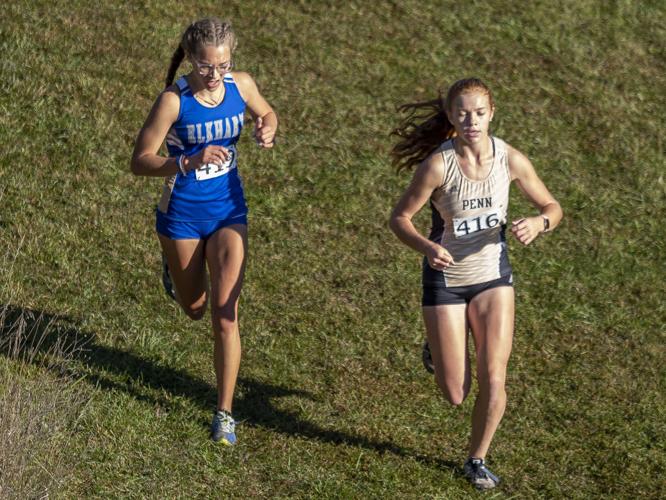 PREP CROSS COUNTRY: Northridge boys, Warsaw girls win NLC outright ...