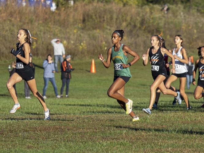 PREP CROSS COUNTRY: Northridge boys, Warsaw girls win NLC outright ...
