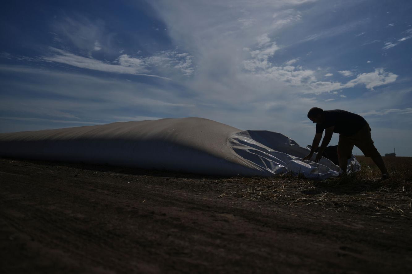 Argentina Farming | National News | goshennews.com