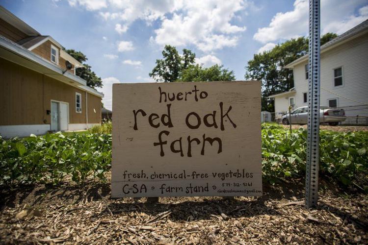 THANK A HOOSIER FARMER: Red Oak Farm is a consumer-supported organic ag ...