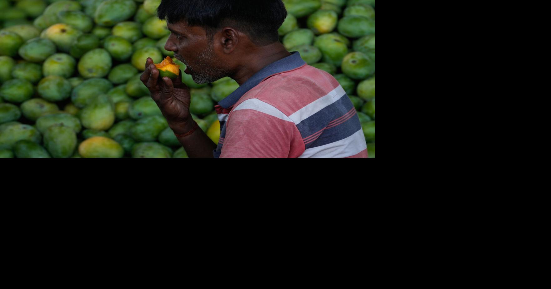 India Daily Life | National News | goshennews.com