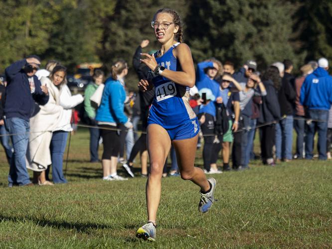 PREP CROSS COUNTRY: Northridge boys, Warsaw girls win NLC outright ...