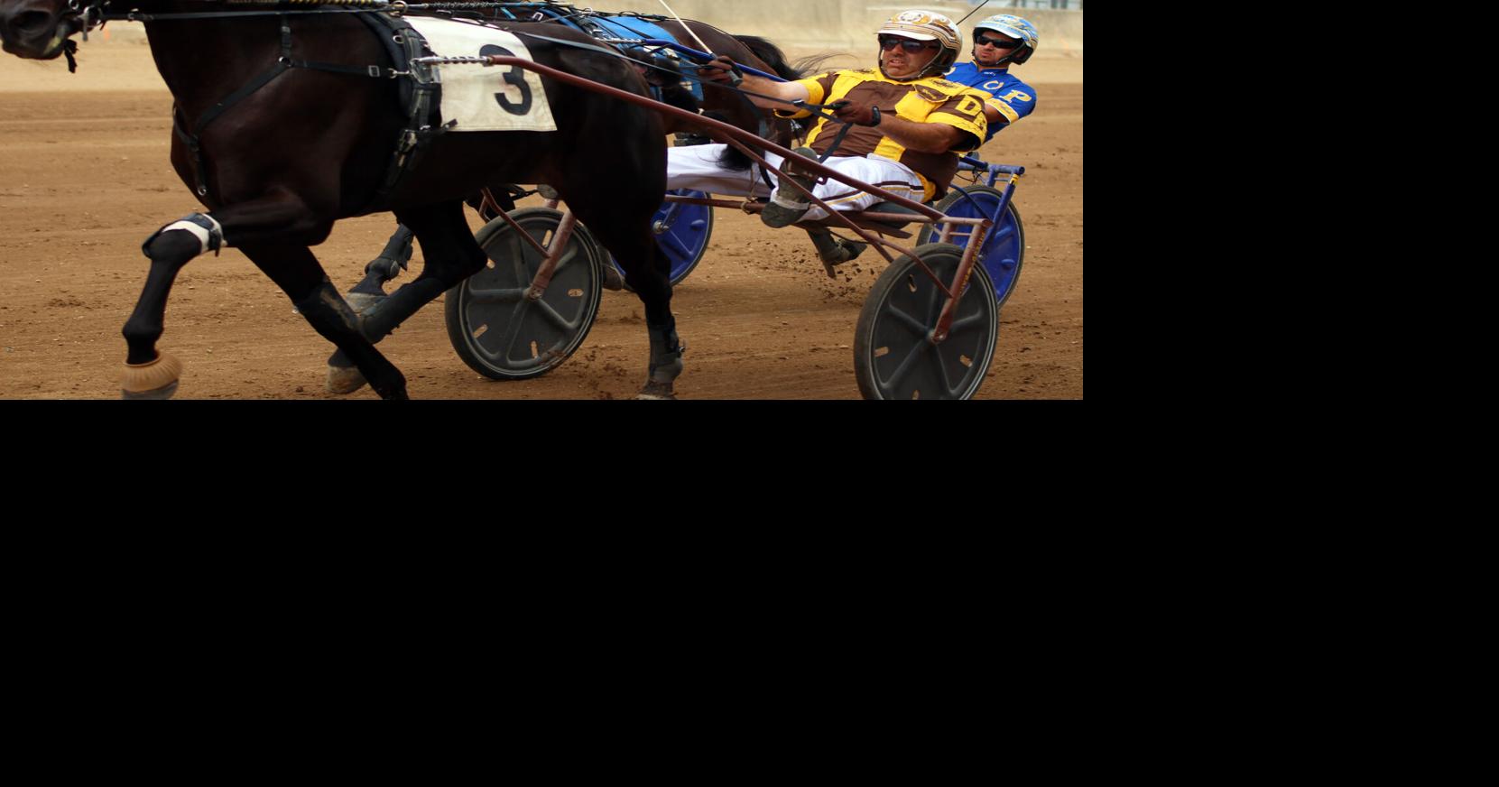 ELKHART COUNTY FAIR: Rideout wins big, Yoder honored on final day of ...