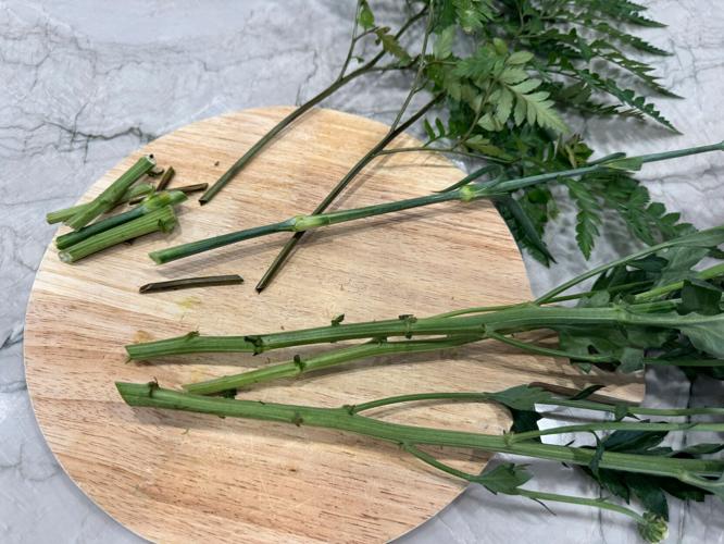 Making cut flowers last well beyond Mother's Day | National News ...