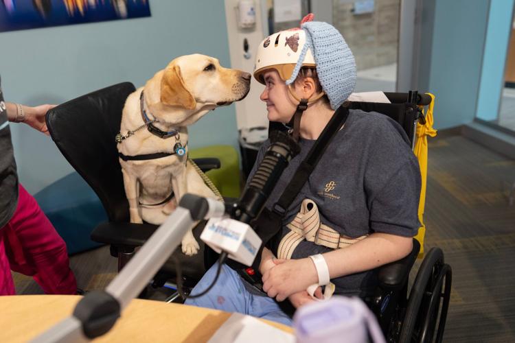 Good dog! More children’s hospitals turn to furry caregivers to help ...