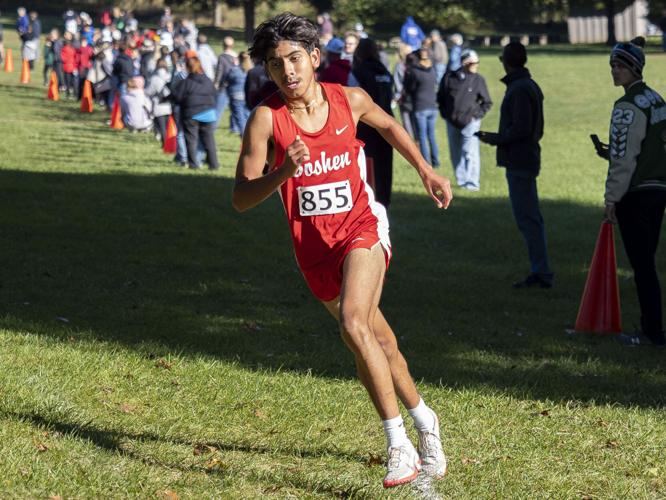 PREP CROSS COUNTRY: Northridge boys, Warsaw girls win NLC outright ...