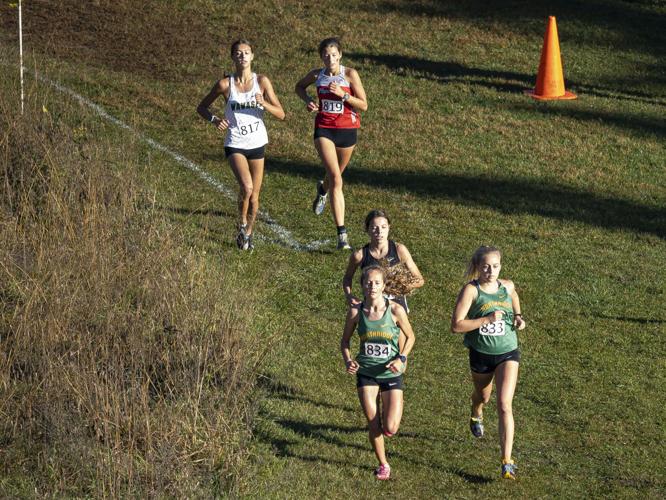 PREP CROSS COUNTRY: Northridge boys, Warsaw girls win NLC outright ...