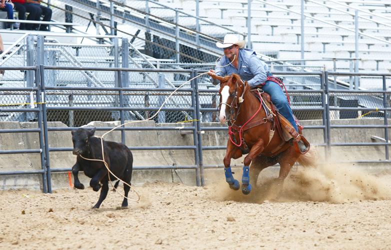 Steer wrestlers, calf ropers and barrel racers captivate the crowd ...