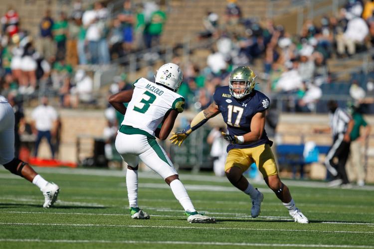 NOTRE DAME FOOTBALL: No. 7 Irish make easy work of South Florida ...