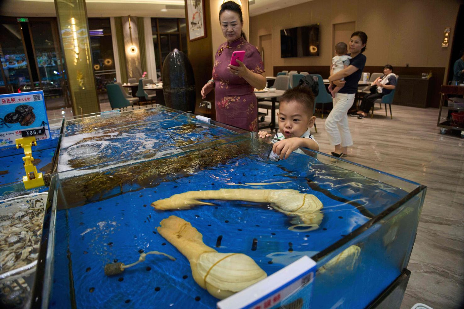 China Canada Timeline | National News | goshennews.com