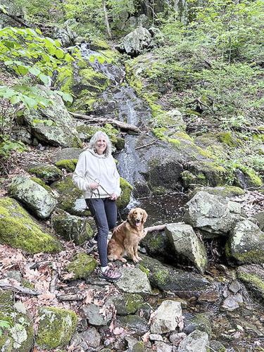 RACHEL SHENK: Taking in a week of Sundays | News | goshennews.com