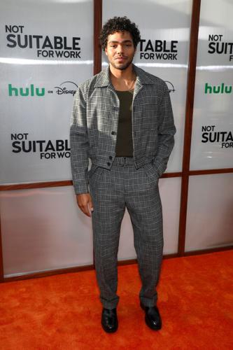NY Premiere of "Not Suitable for Work" | National News | goshennews.com