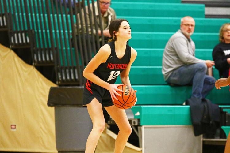 GALLERY: Northridge and NorthWood girls basketball at Day 1 of the ...