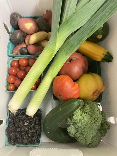 CSA boxes provide fresh produce throughout growing season | Nappanee ...