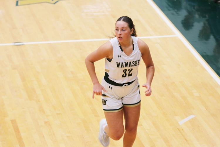 PREP GIRLS BASKETBALL: Northridge rides second half to NLC win over ...