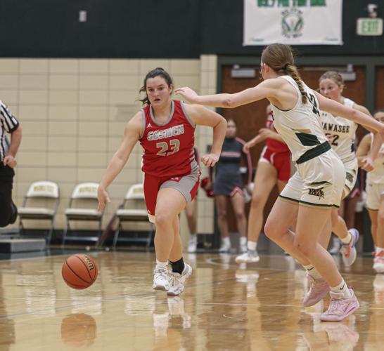 PREP GIRLS BASKETBALL: Strong finish for Wawasee secures win over ...