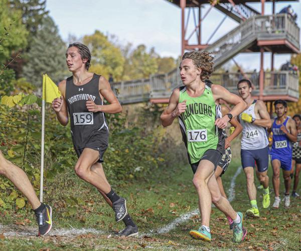 PREP CROSS COUNTRY: Northridge boys win first regional since 2013 ...
