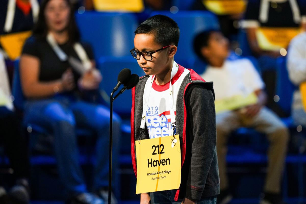 Spelling Bee | National News | goshennews.com