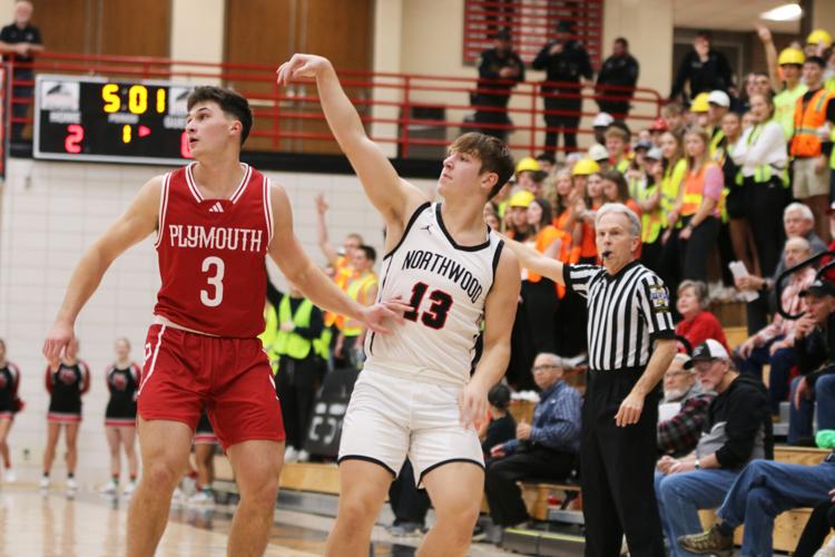 COLUMN: Close your eyes and pick a team | Sports | goshennews.com