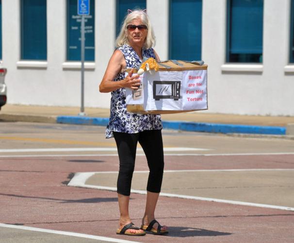 Elkhart County prosecutor says no charges in Jayco cat killing | News ...