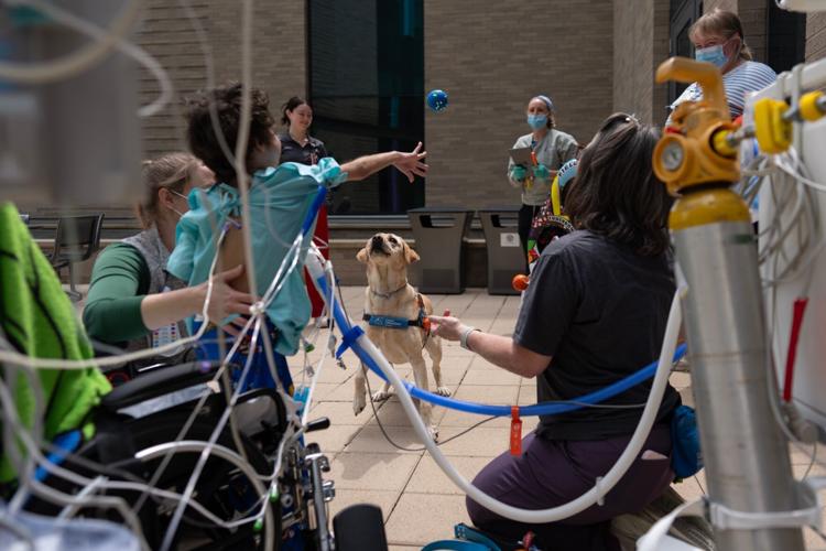 Good dog! More children’s hospitals turn to furry caregivers to help ...
