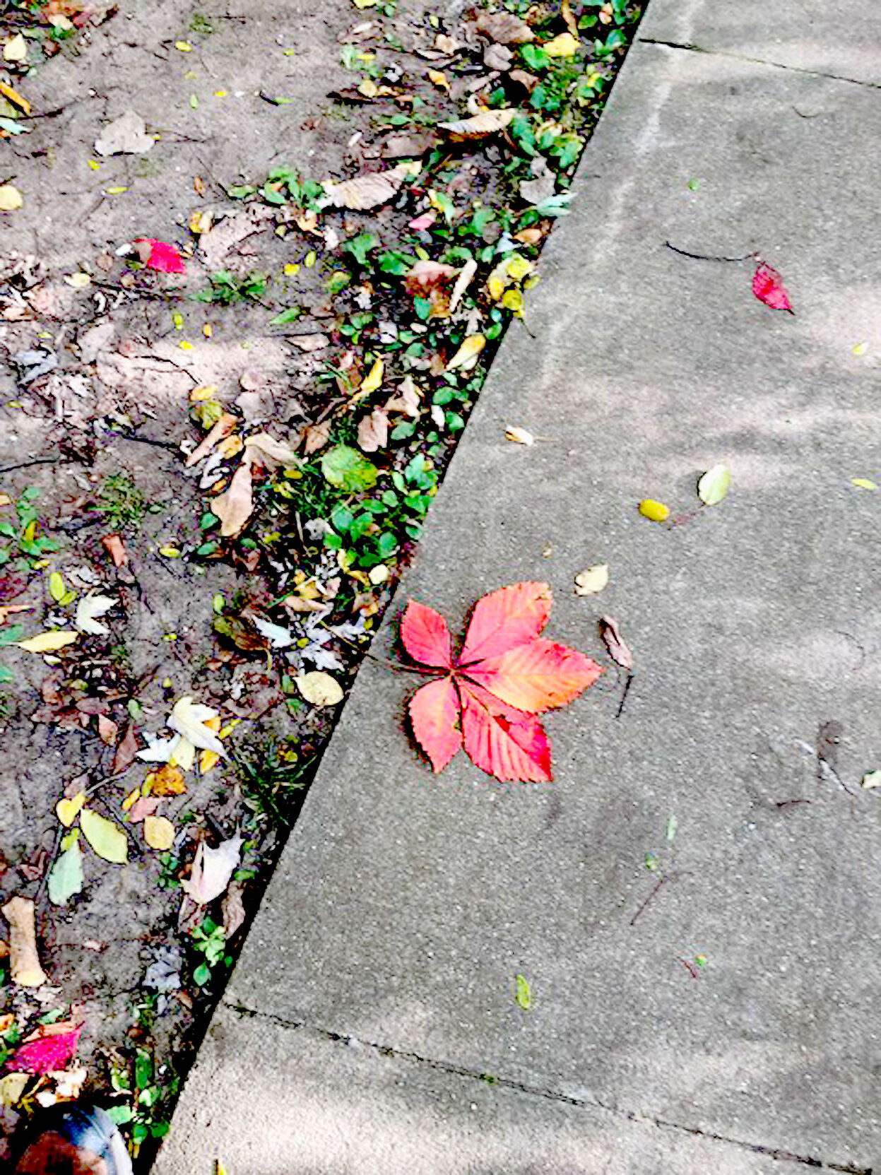 RACHEL SHENK: Welcome to September and some new fall goals | News ...