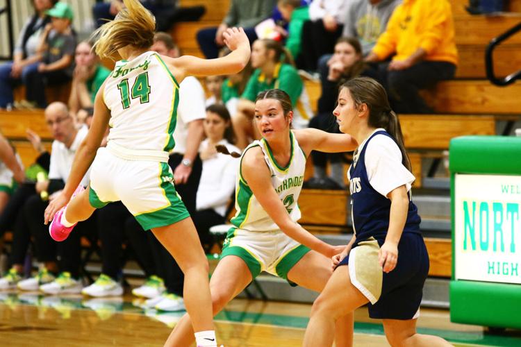 GALLERY: Northridge and NorthWood girls basketball at Day 1 of the ...