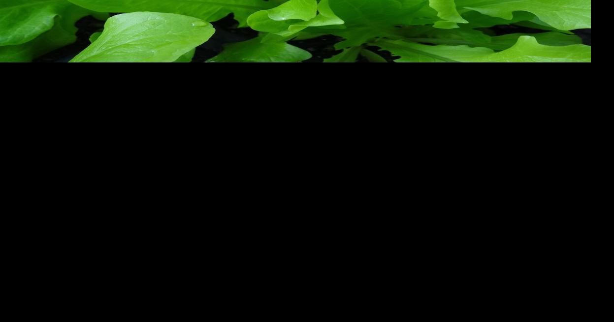 Backyard grown foods can help during inflation | News | goshennews.com