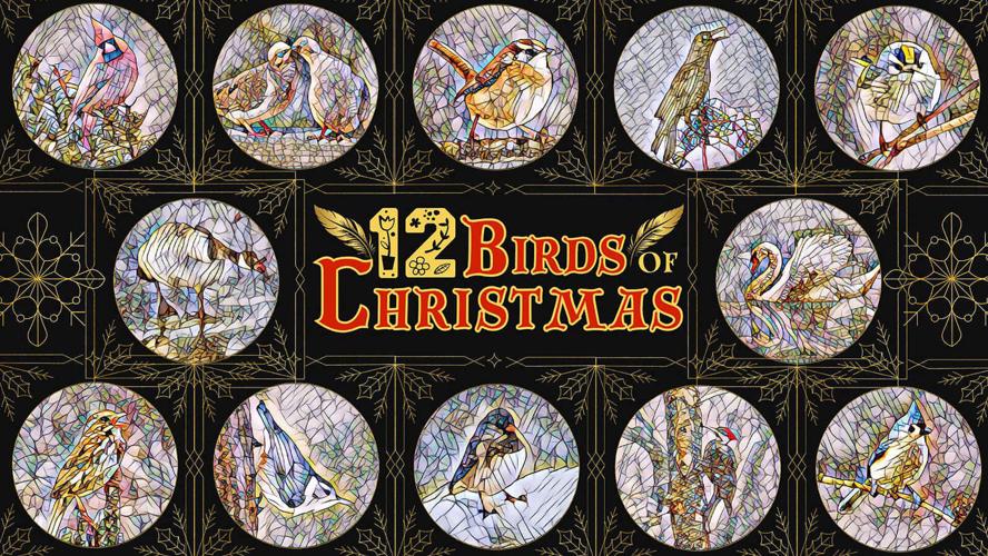 '12 Birds of Christmas' set for Wednesday | | goshennews.com