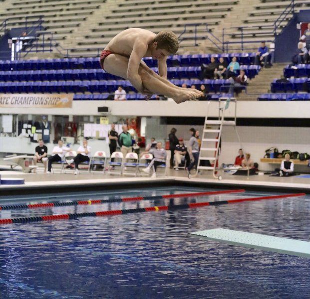 BOYS SWIMMING: Goshen diver Hudson Kay named All-American | Sports ...