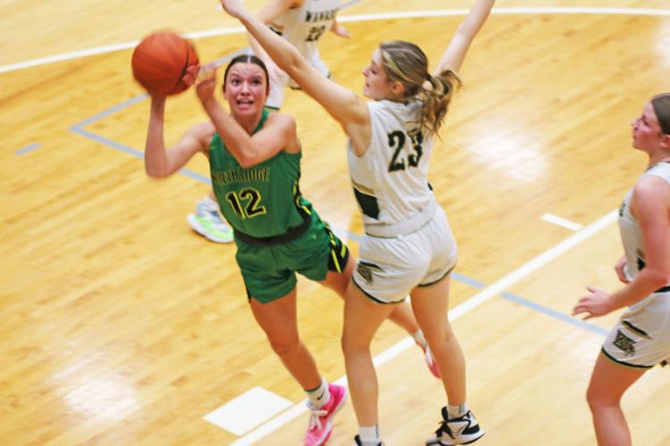 PREP GIRLS BASKETBALL: Northridge rides second half to NLC win over ...