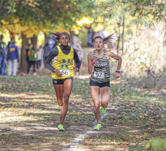 PREP CROSS COUNTRY: Northridge boys win first regional since 2013 ...
