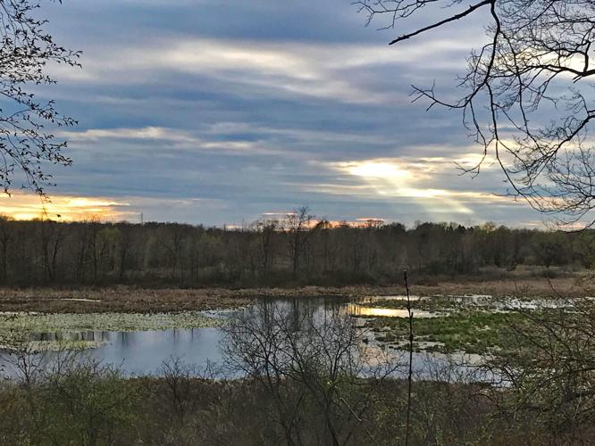Wildlife-watching field trip to Pisgah Marsh planned | News ...