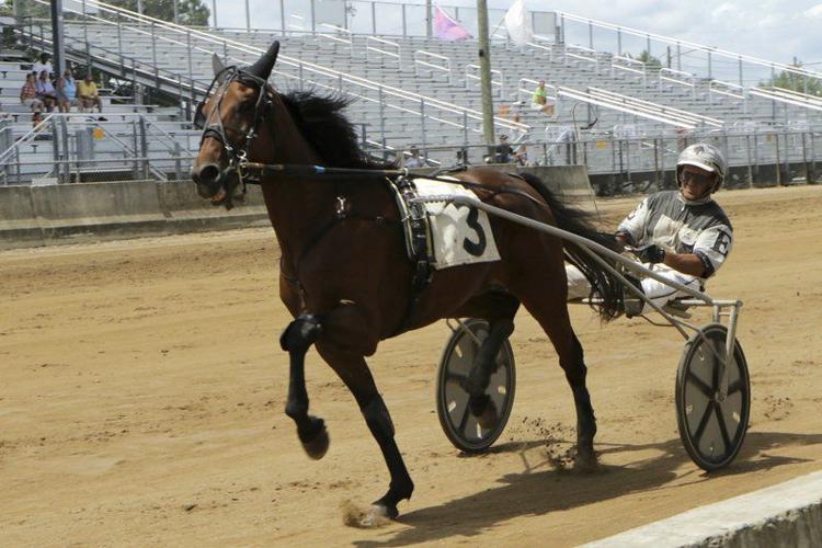 Cross earns 3,000th career harness racing victory | Local Sports ...