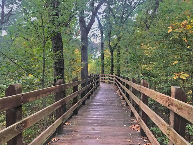 Wildlife-watching field trip to Pisgah Marsh planned | News ...