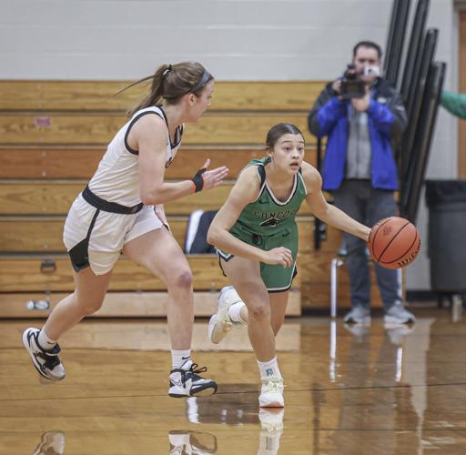 PREP GIRLS BASKETBALL: Northridge surges past Penn; Warsaw ousts ...