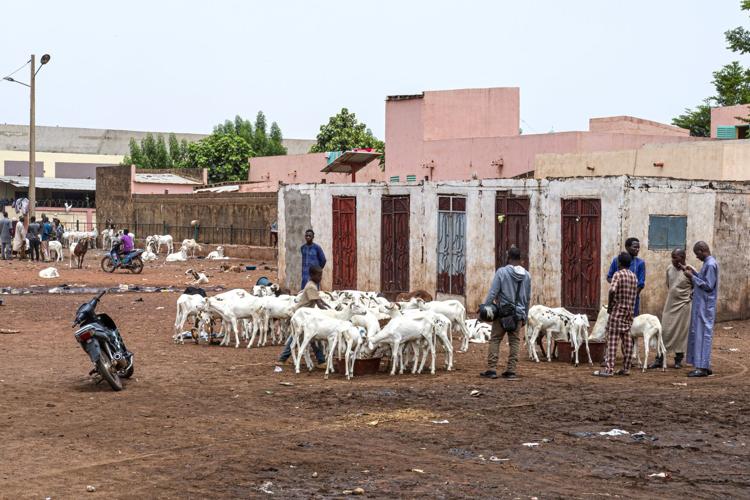 A bitter Eid al-Adha in Mali's capital as al-Qaida-linked blockade ...