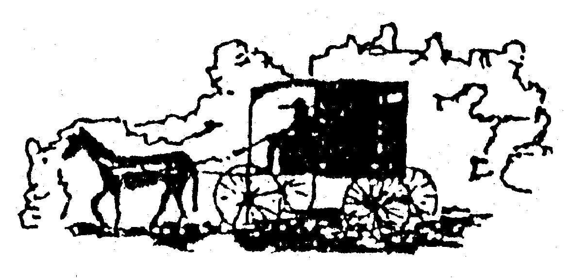 Amish Cook: Gloria visits Daniel's family in St. Louis | News ...