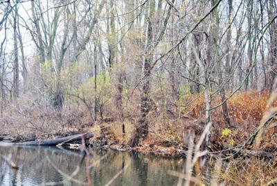 Linway Lake to remain largely unchanged | | goshennews.com