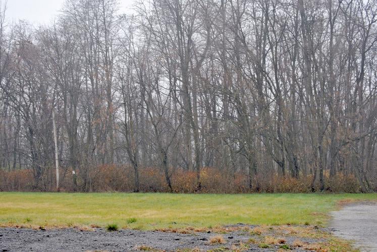 Public access coming to Linway Lake in Goshen | News | goshennews.com