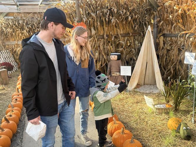Fashion Farm enters final week of delighting visitors | News ...