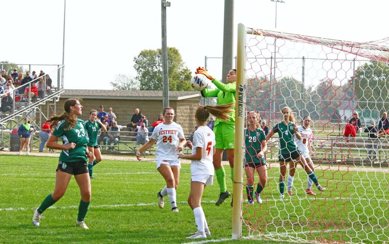 PREP GIRLS SOCCER: Westview retains sectional crown with shutout in ...
