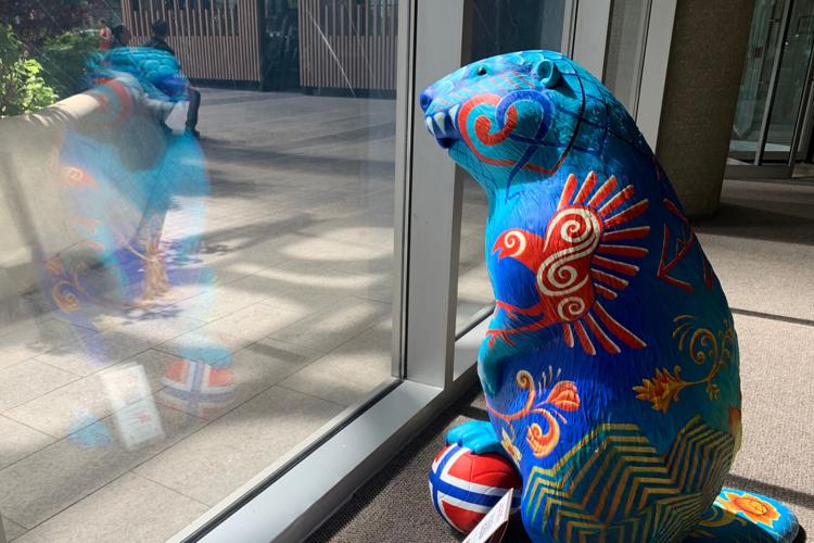 Join the beaver hunt: Toronto neighborhood offers unique World Cup ...